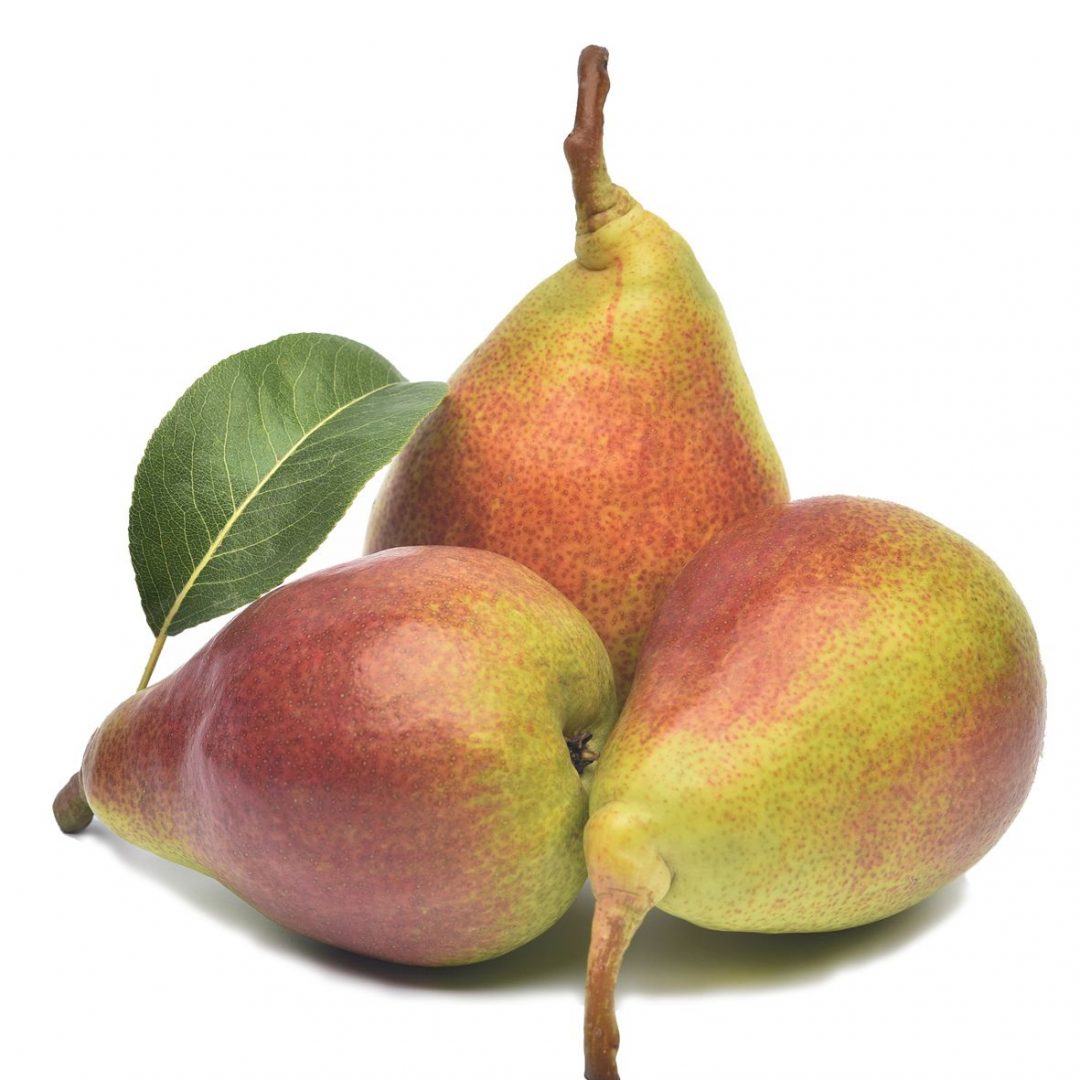 Fruites Font | Conservación y comercialización de fruta